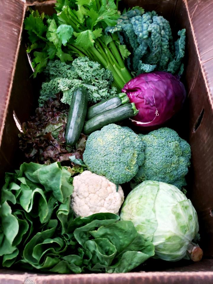 CREATE PRODUCE BASKETS: – Provident Planner